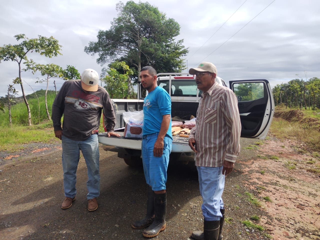 Regional alliances for iron-rich beans in Latin American countries